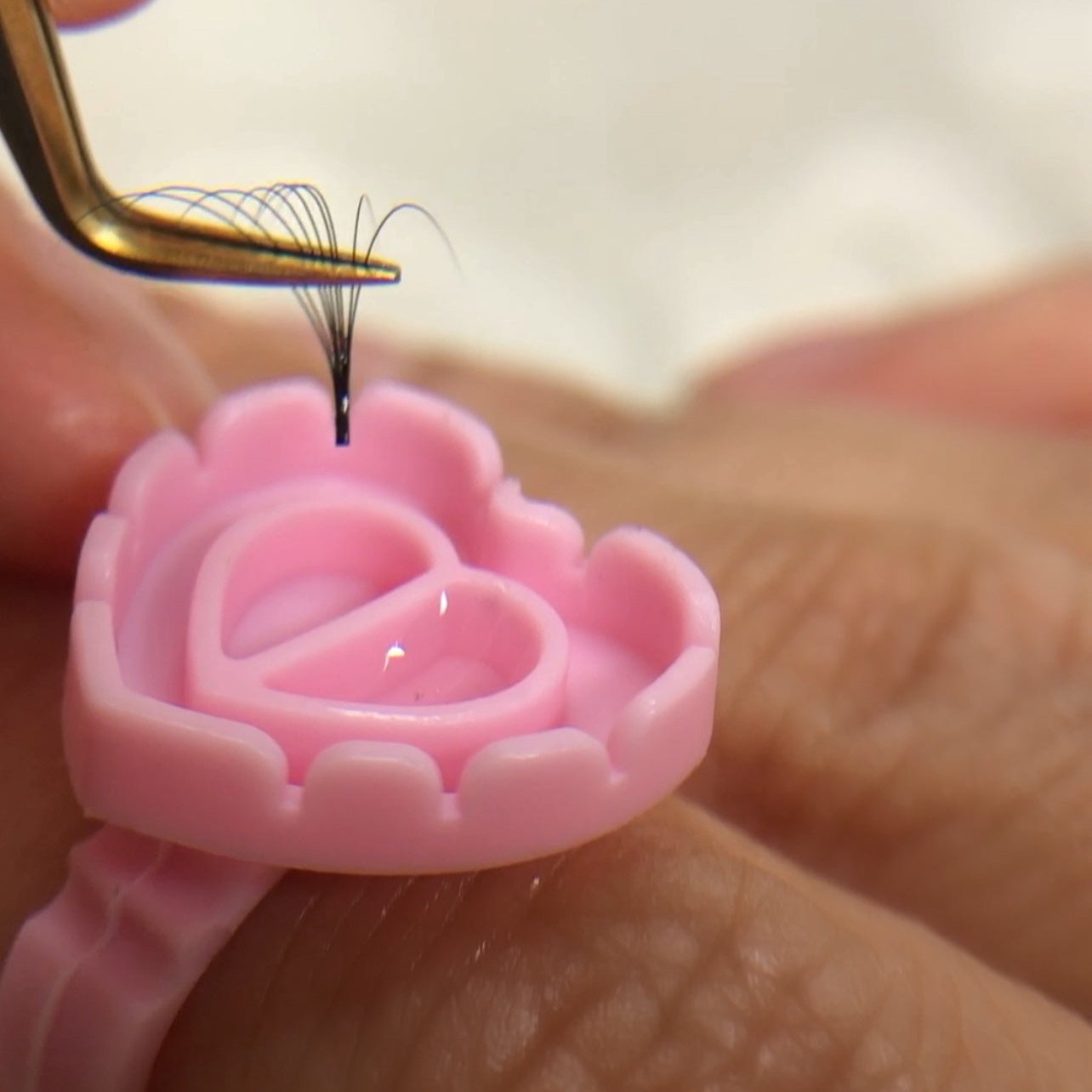 Glue Rings – Lash Box